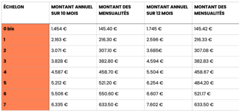 Simulateur de la bourse CROUS : êtes-vous éligible ? - OPTIMUS.ai